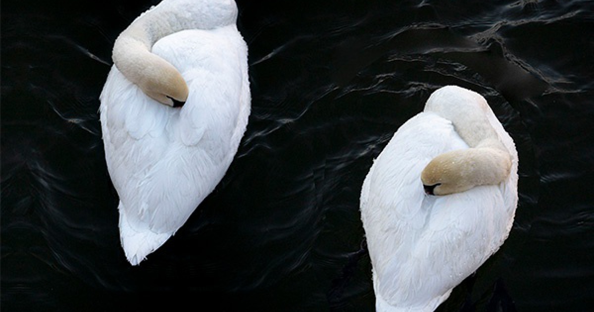 CHARLOTTE FRÖLING - Exhibitions | Galleri Glas